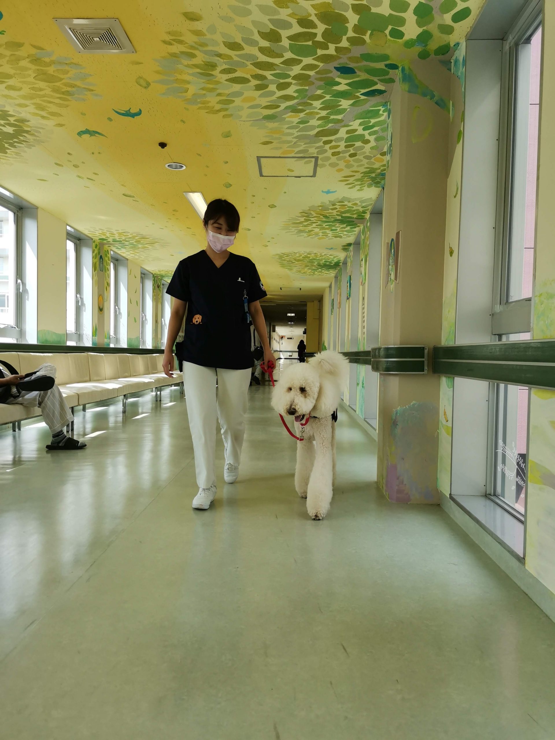 「動物介在療法」聖マリアンナ医学大学病院における実績について - AWGs